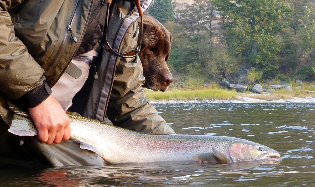 Exploring Summer Steelhead Fly Patterns: Idaho’s Clearwater – Swing the Fly