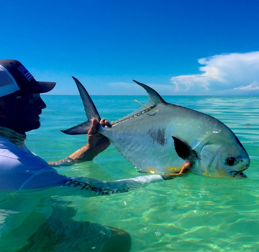 Swing the Fly – The Voice of Spey