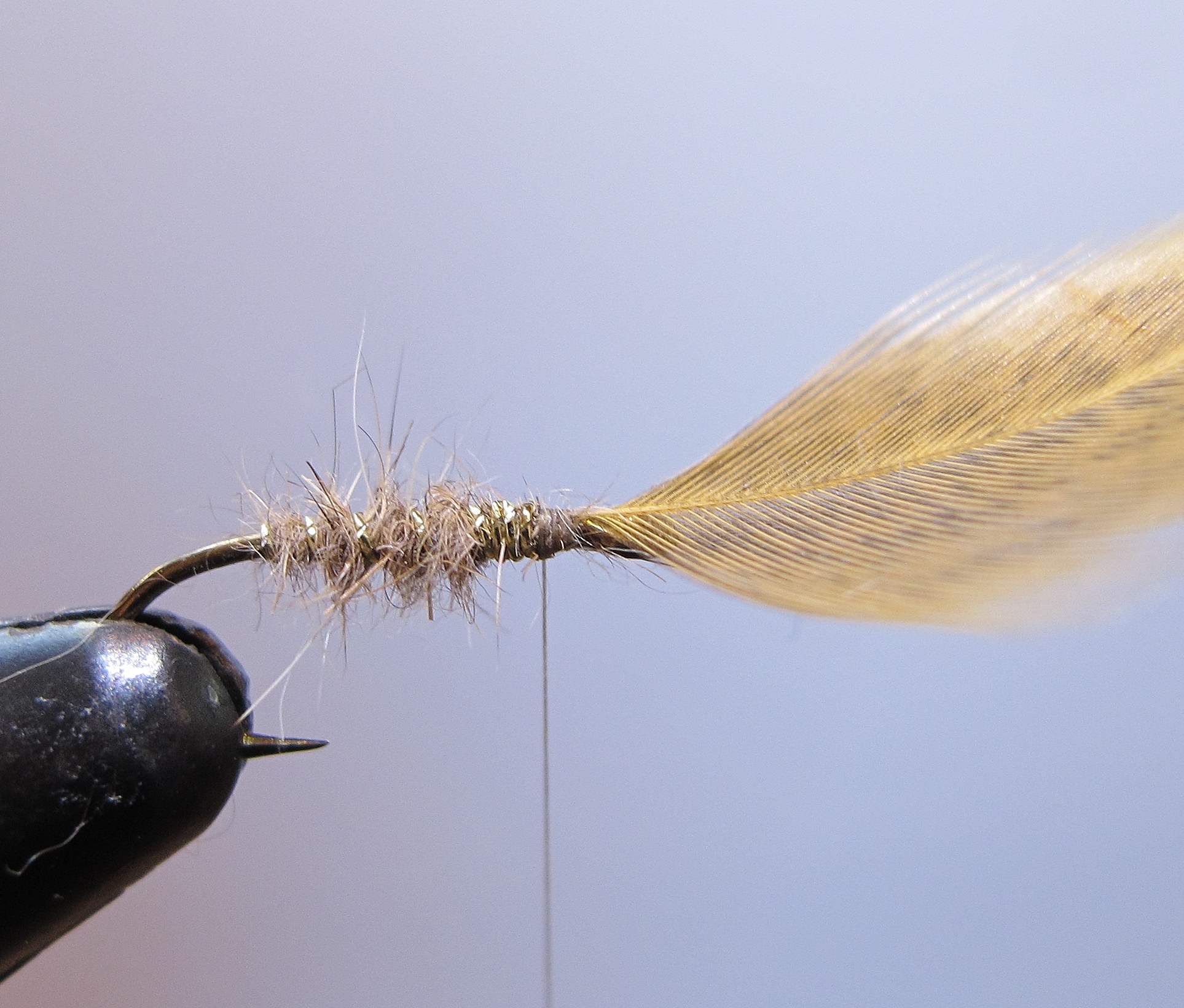 Hackling Spiders and Flymphs – Swing the Fly