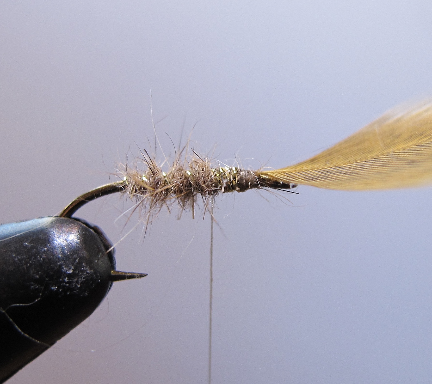 Hackling Spiders and Flymphs – Swing the Fly