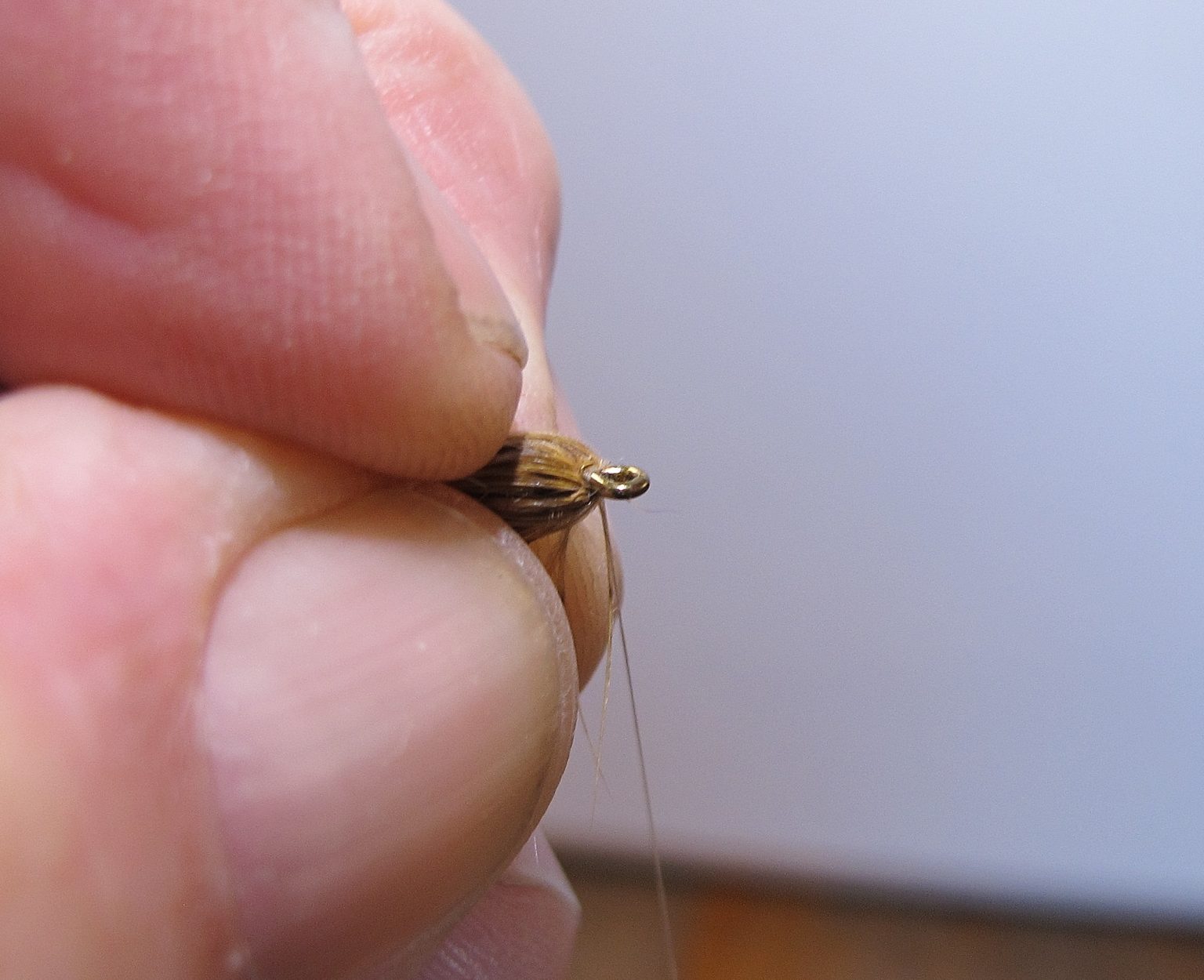 Hackling Spiders and Flymphs – Swing the Fly