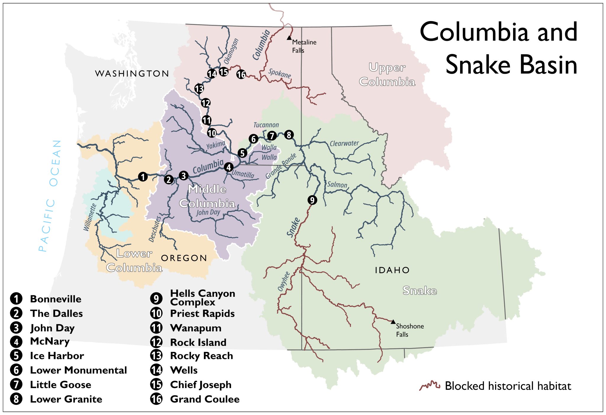Conservation Corner: Disappearing Summer Steelhead – The Fate of ...